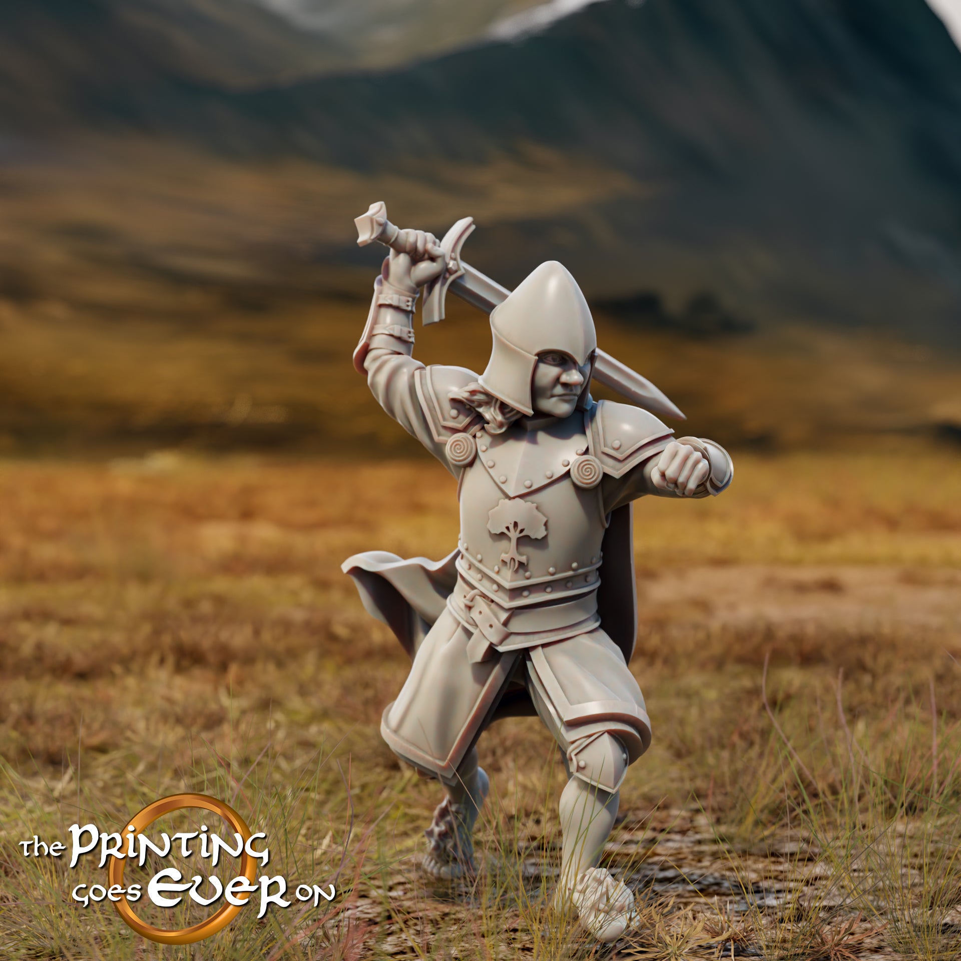Perry - Knight of Gonthan – 🏅 EboraMiniatures